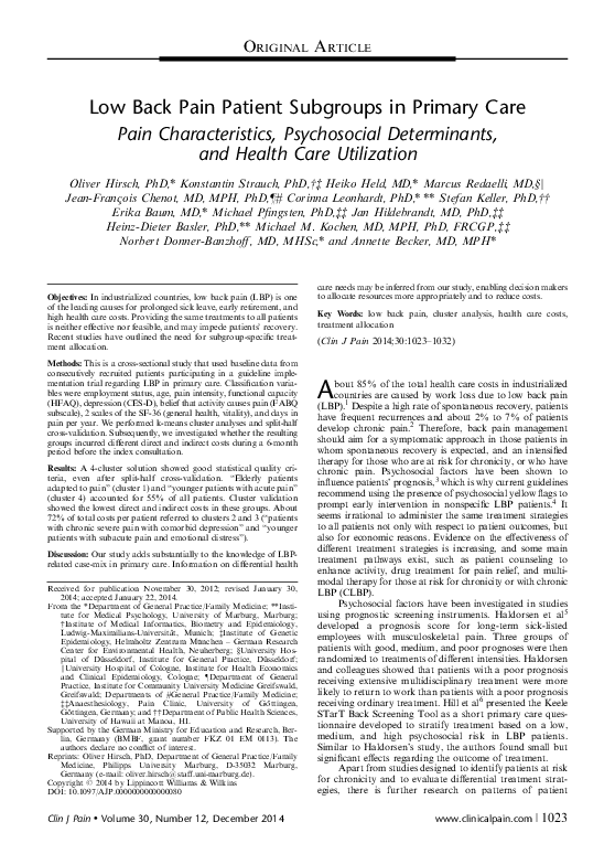 (PDF) Low Back Pain Patient Subgroups in Primary Care – Pain ...