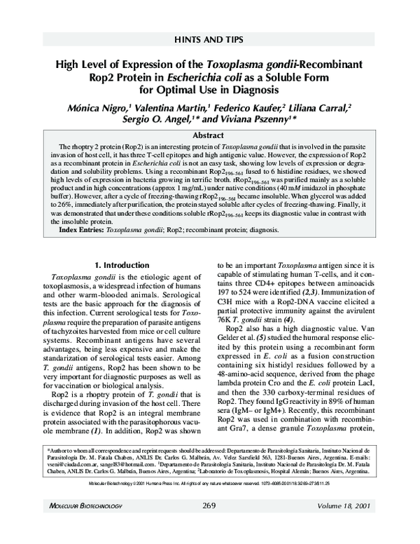 (PDF) High level of expression of the Toxoplasma gondii -recombinant ...