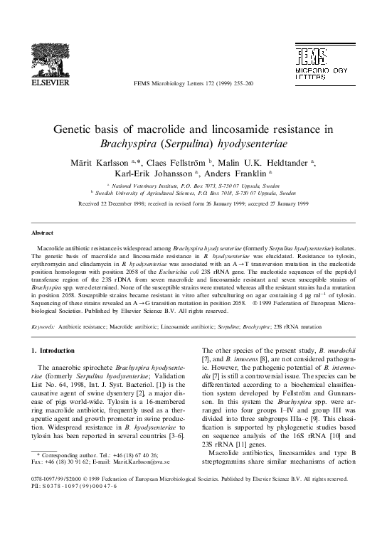 (PDF) Genetic basis of macrolide and lincosamide resistance in ...