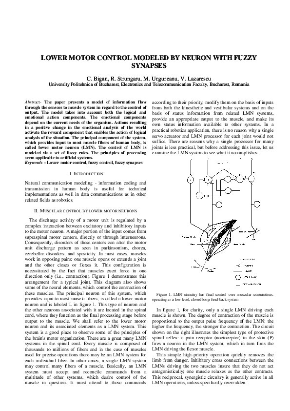 (PDF) Lower motor control modeled by neuron with fuzzy synapses