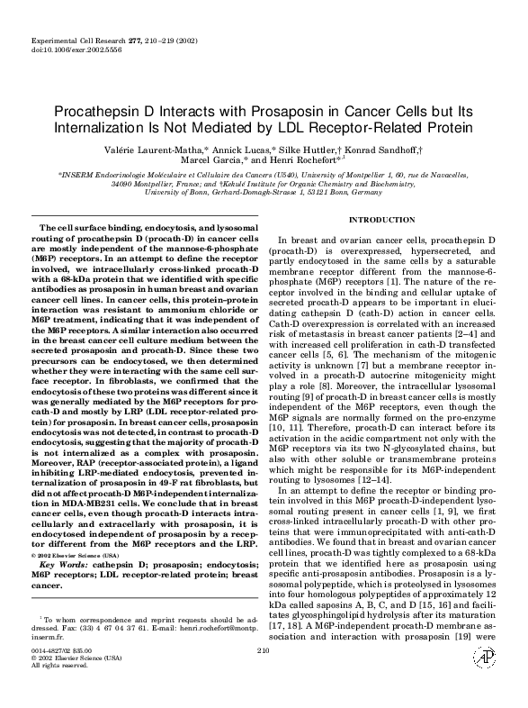 (PDF) Procathepsin D Interacts with Prosaposin in Cancer Cells but Its ...