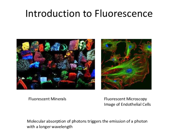 (PDF) Introduction to Fluorescence