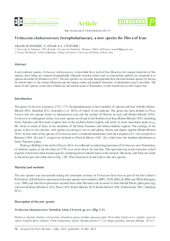 (PDF) Verbascum shahsavarensis (Scrophulariaceae), a new species for ...