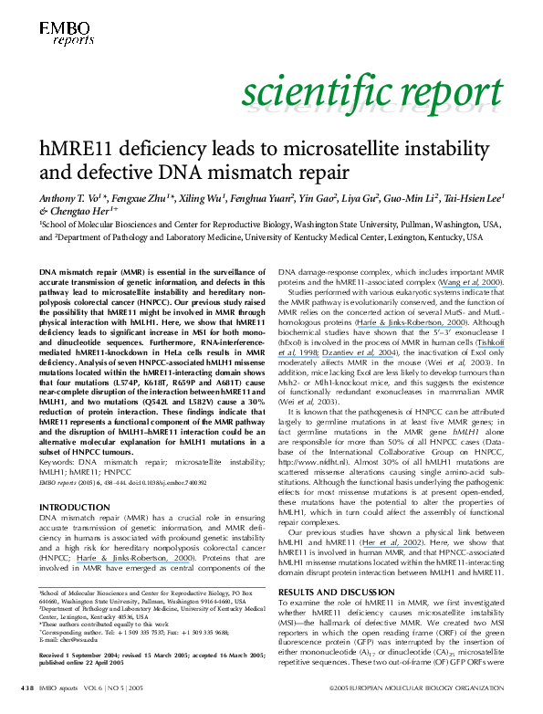 (PDF) hMRE11 deficiency leads to microsatellite instability and ...