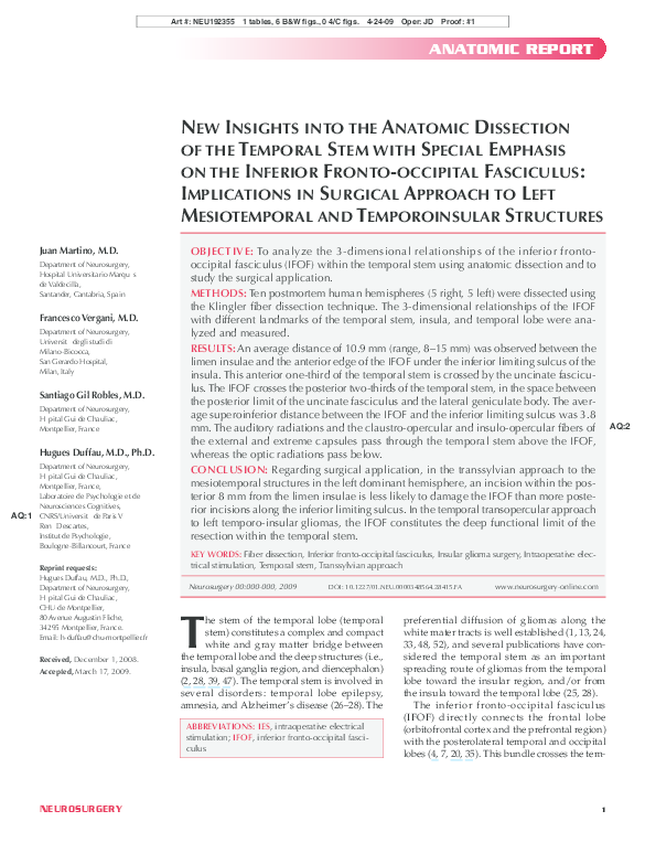 (PDF) Cortical projection of the inferior choroidal point as a reliable ...