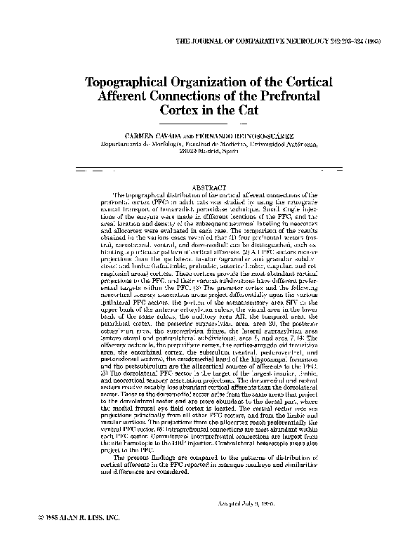 (PDF) Topographical organization of the cortical afferent connections ...
