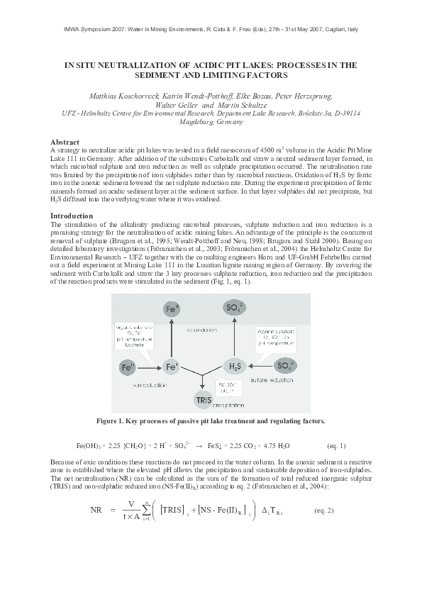 (PDF) In Situ Neutralization of Acidic Pit Lakes: Processes in the ...