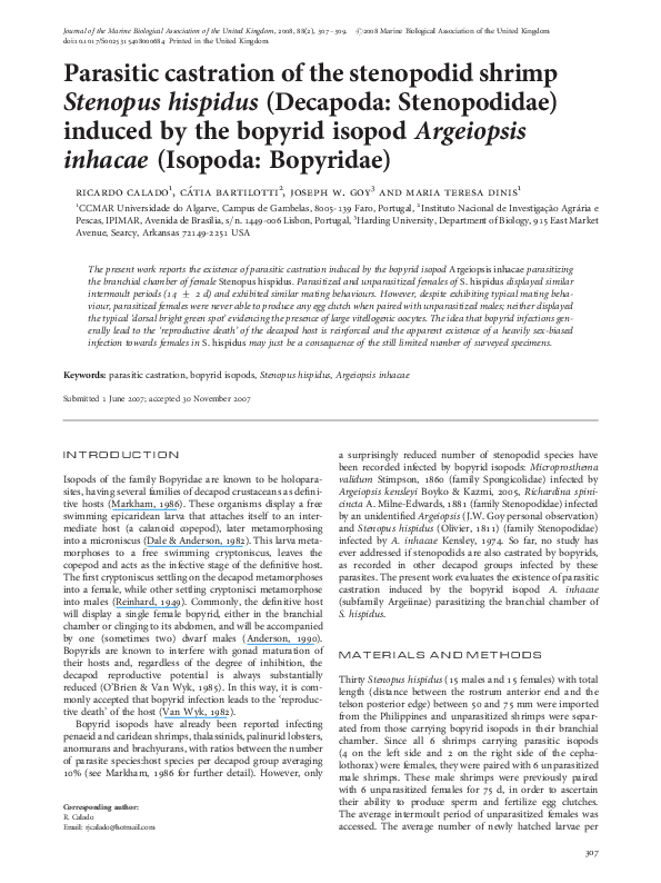 (PDF) Parasitic castration of the stenopodid shrimp Stenopus hispidus ...