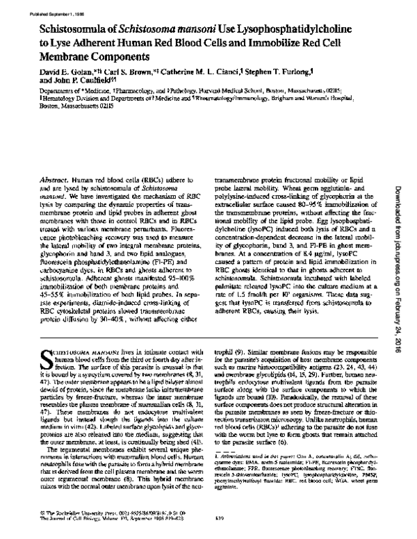 (PDF) Schistosomula of Schistosoma mansoni Lyse Human RBCs via LPC