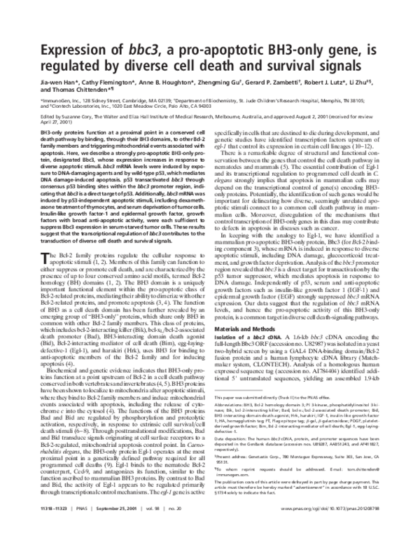 (PDF) Expression of bbc3, a pro-apoptotic BH3-only gene, is regulated ...
