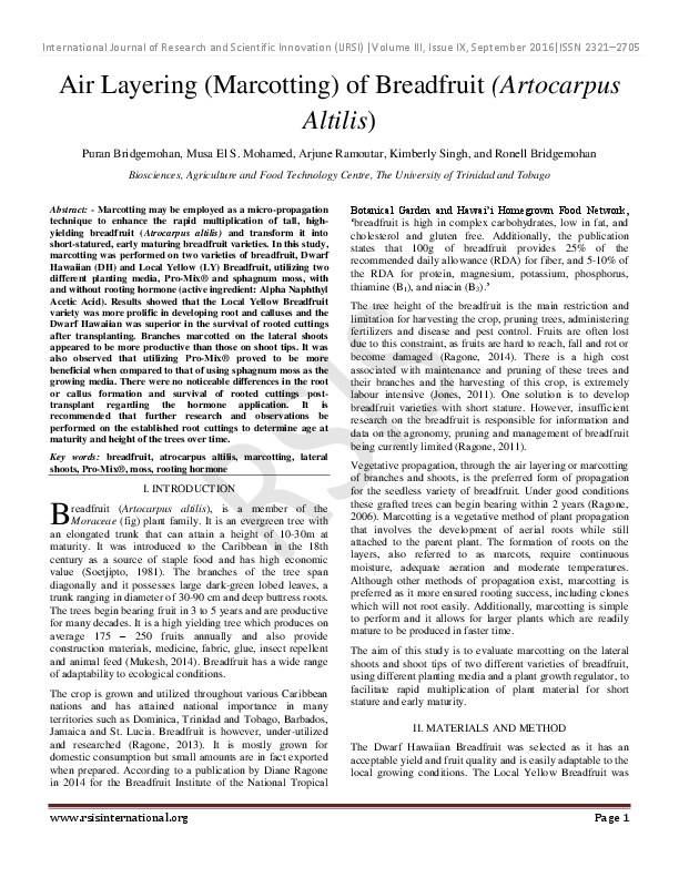 (PDF) Air Layering (Marcotting) of Breadfruit (Artocarpus Altilis)