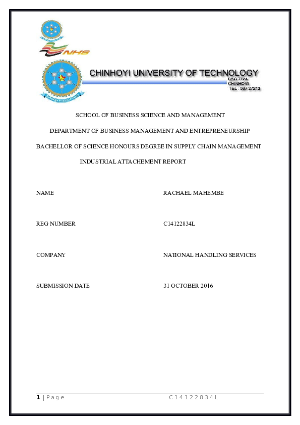 (DOC) REPORT NHS final (3)