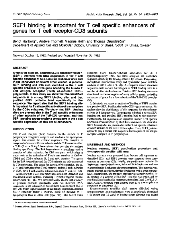 (PDF) SEF1 binding is important for T cell specific enhancers of genes ...