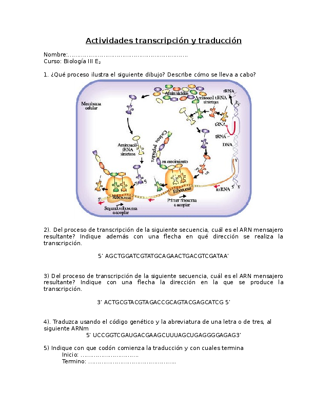 (DOC) Actividades transcripción y traducción