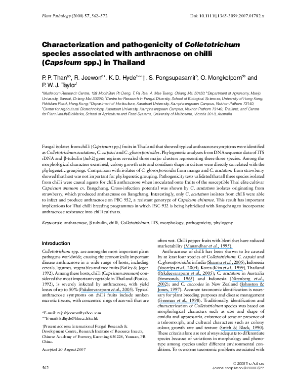 (PDF) Characterization and pathogenicity of Colletotrichum species ...