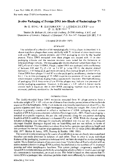 (PDF) In vitro Packaging of Foreign DNA into Heads of Bacteriophage T1