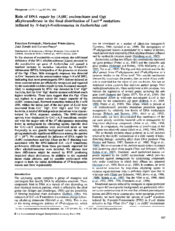 (PDF) Role of DNA repair by (A)BC excinuclease and Ogt alkyltransferase ...