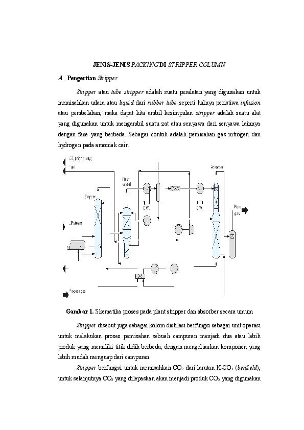 (DOC) JENIS-JENIS PACKING DI STRIPPER COLUMN