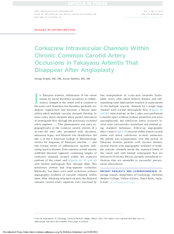 (PDF) Corkscrew intravascular channels within chronic common carotid ...