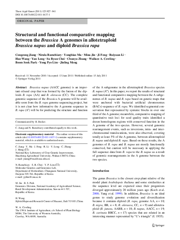 Pdf Structural And Functional Comparative Mapping Between The