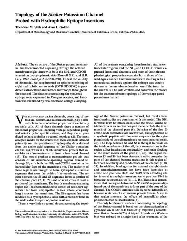 (PDF) Topology of the Shaker Potassium Channel Probed with Hydrophilic ...