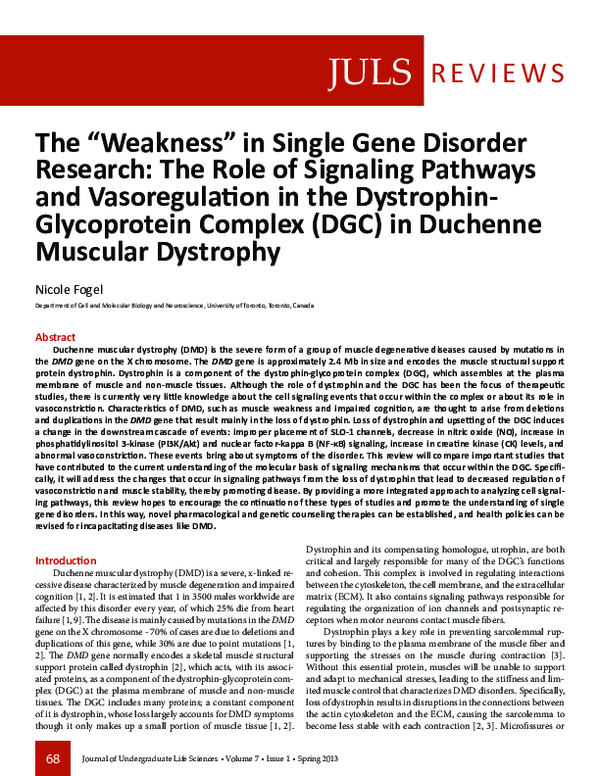 (PDF) Duchenne Muscular Dystrophy (DMD) Protein-Protein Interaction ...
