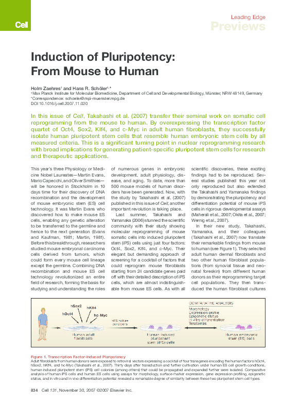 (PDF) Induction of iPS cells