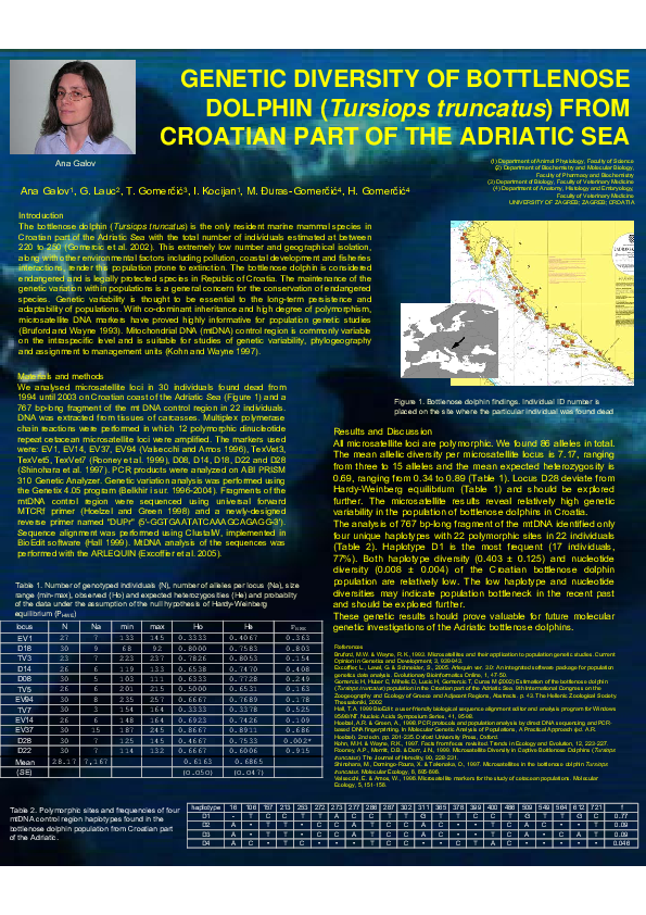 (PDF) GENETIC DIVERSITY OF BOTTLENOSE DOLPHIN (Tursiops truncatus )F ...