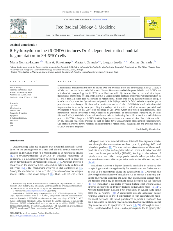 (PDF) 6Hydroxydopamine (6-OHDA) induces Drp1-dependent mitochondrial ...