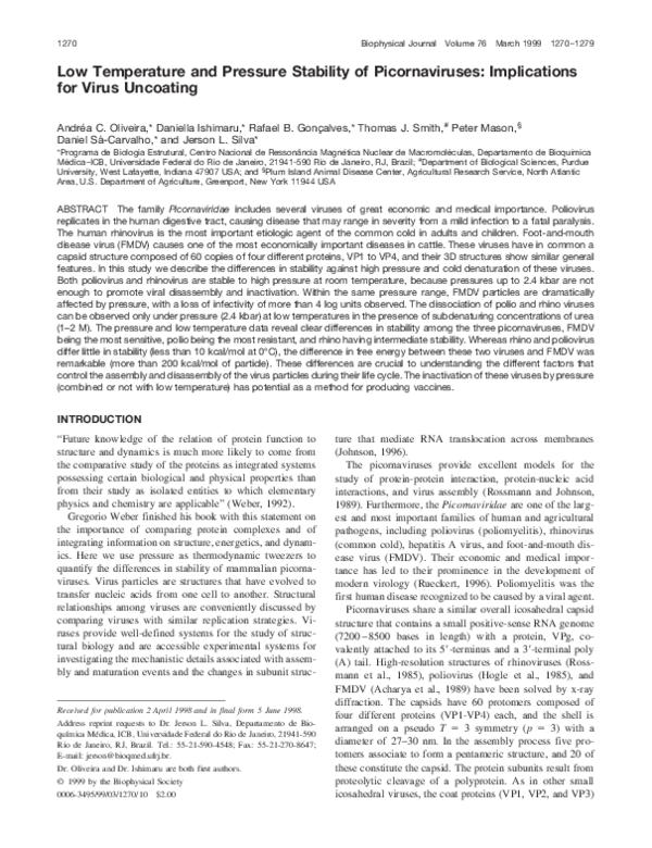 (PDF) Low Temperature and Pressure Stability of Picornaviruses ...