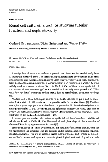 (PDF) Renal cell cultures: a tool for studying tubular function and ...