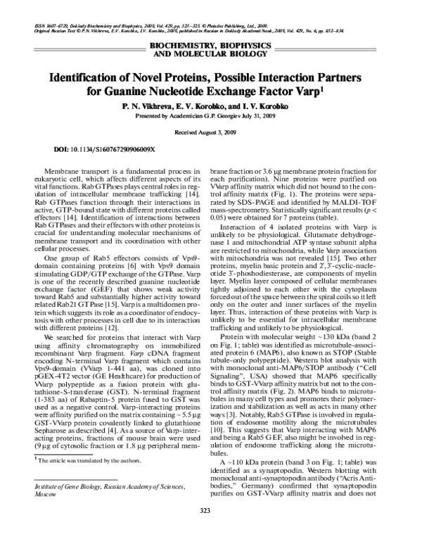 (PDF) Identification of novel proteins, possible interaction partners ...