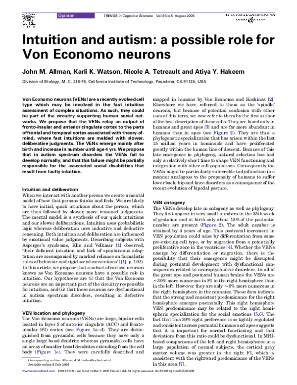 (PDF) Intuition and autism: a possible role for Von Economo neurons