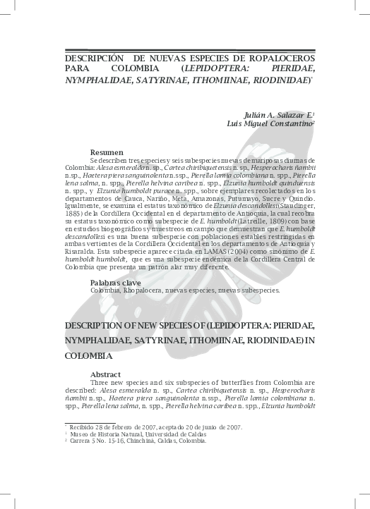 (PDF) Description of new species of Lepidoptera (Pieridae, Nymphalidae ...