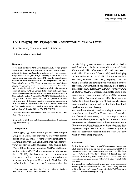(PDF) The ontogeny and phylogenetic conservation of MAP 2 forms