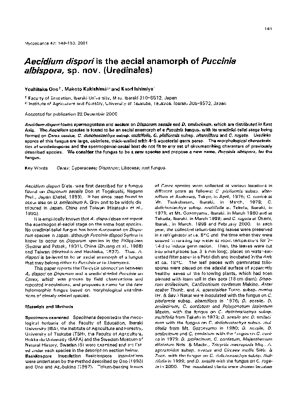 (PDF) Aecidium dispori is the aecial anamorph of Puccinia albispora ...