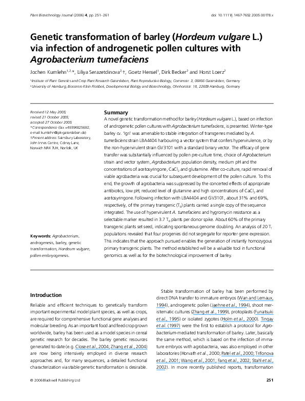 (PDF) Genetic transformation of barley (Hordeum vulgare L.) via ...