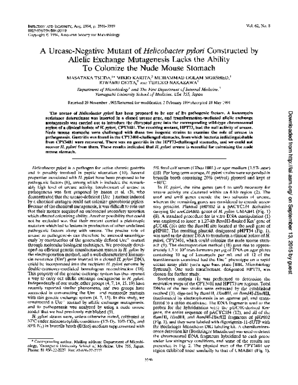 (PDF) A urease-negative mutant of Helicobacter pylori constructed by ...