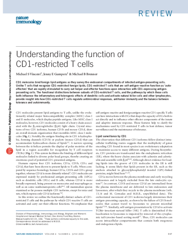 (PDF) Understanding the function of CD1-restricted T cells