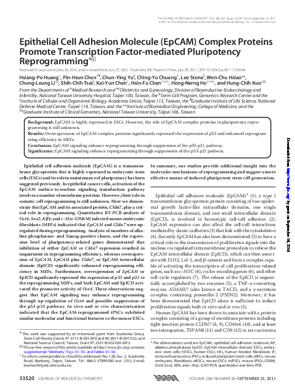 (PDF) Epithelial Cell Adhesion Molecule (EpCAM) Complex Proteins ...