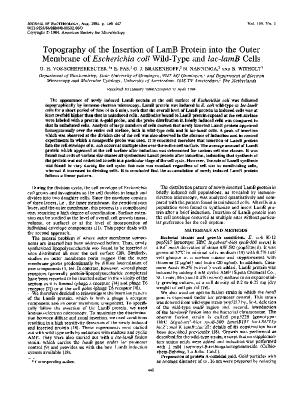 (PDF) Topography of the insertion of LamB protein into the outer ...
