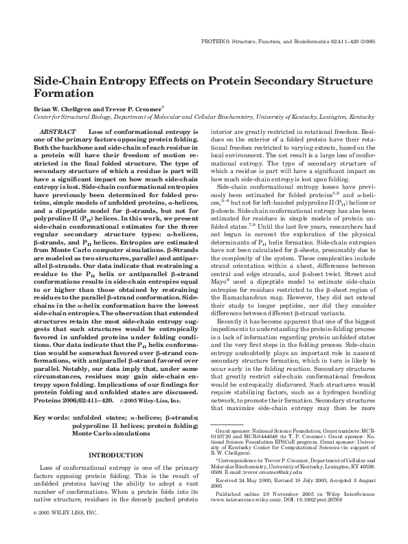 (PDF) Side-chain entropy effects on protein secondary structure formation