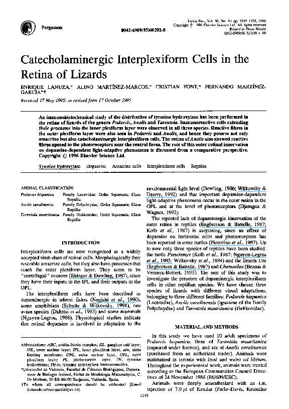 (PDF) Catecholaminergic interplexiform cells in the retina of lizards