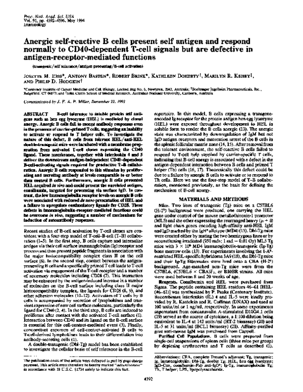 (PDF) Anergic Self-Reactive B Cells Present Self Antigen and Respond ...