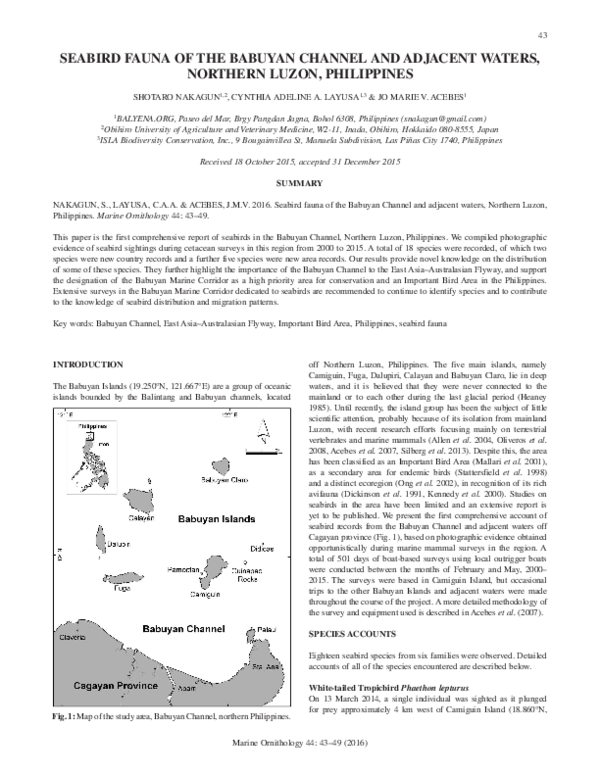 (PDF) Seabird Fauna of the Babuyan Channel and Adjacent Waters ...