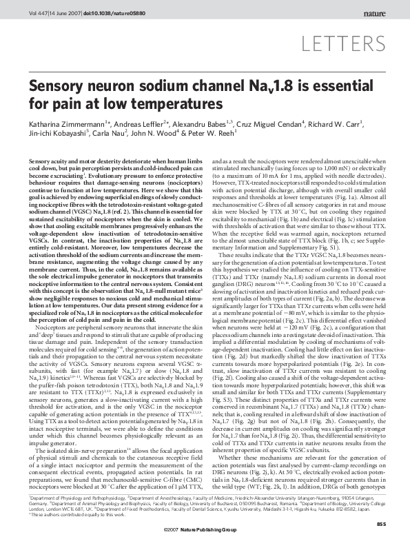 (PDF) Sensory neuron sodium channel Nav1.8 is essential for pain at low ...