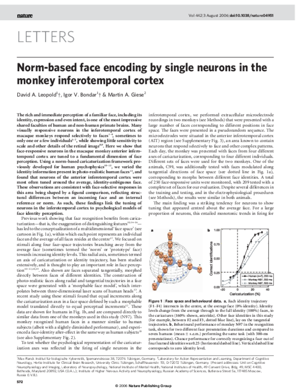 (PDF) Norm-based face encoding by single neurons in the monkey inferotemporal cortex
