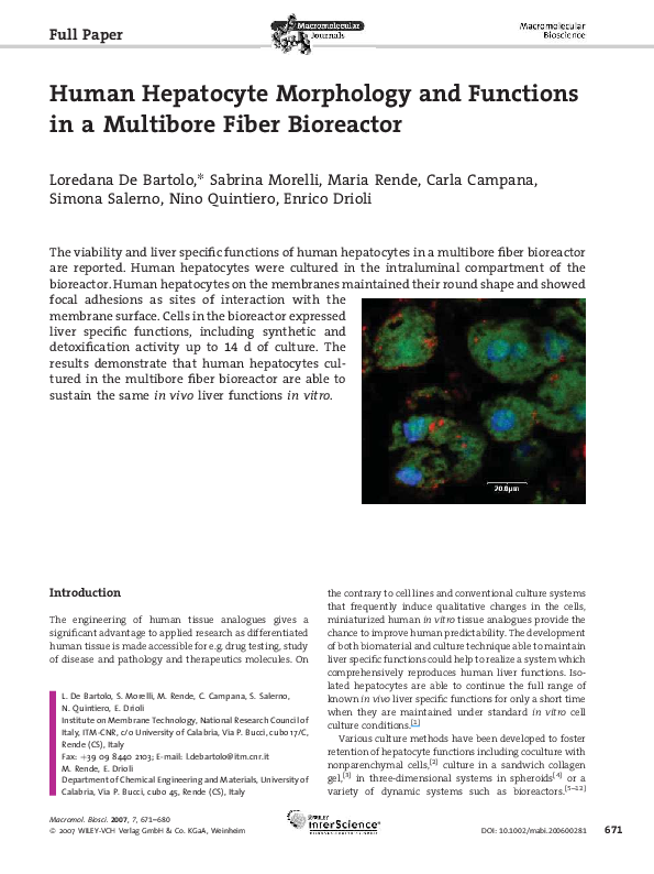 (PDF) Human Hepatocyte Morphology and Functions in a Multibore Fiber ...