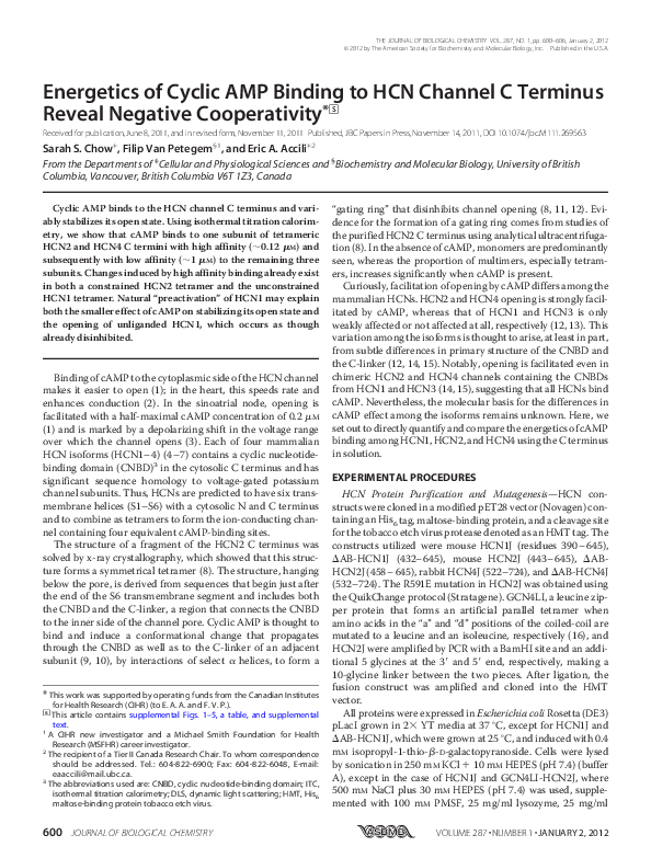 (PDF) Energetics of cyclic AMP binding to HCN channel C terminus reveal ...