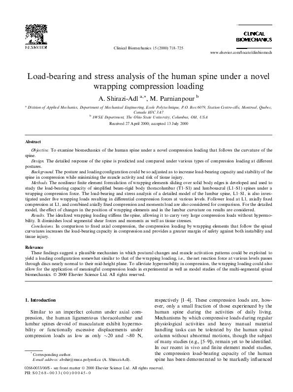 (PDF) Load-bearing and stress analysis of the human spine under a novel ...
